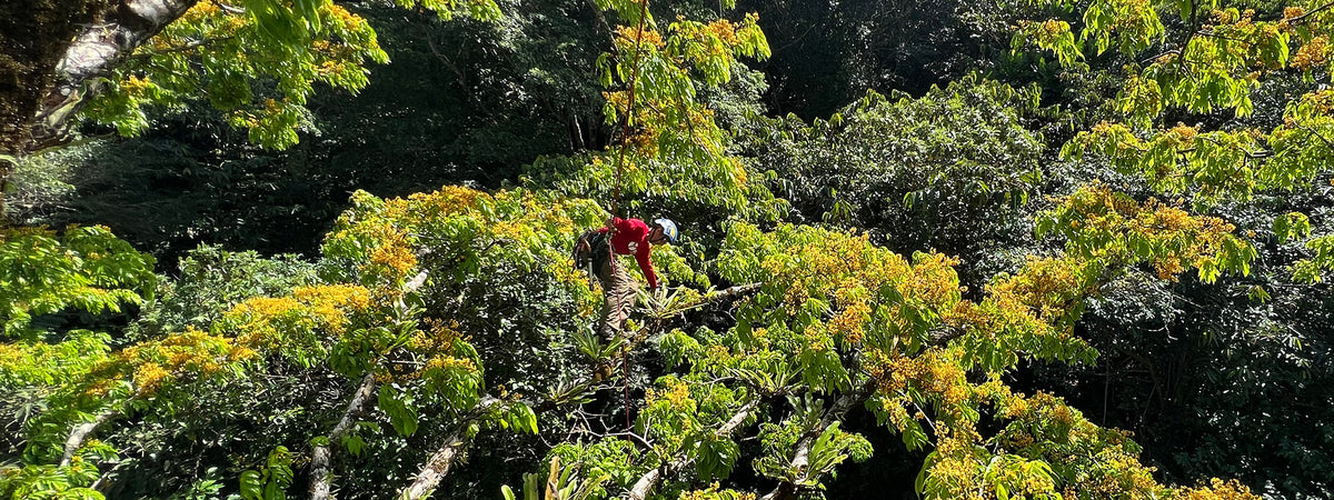 Panama Margay Expedition 2022/23 – DMM